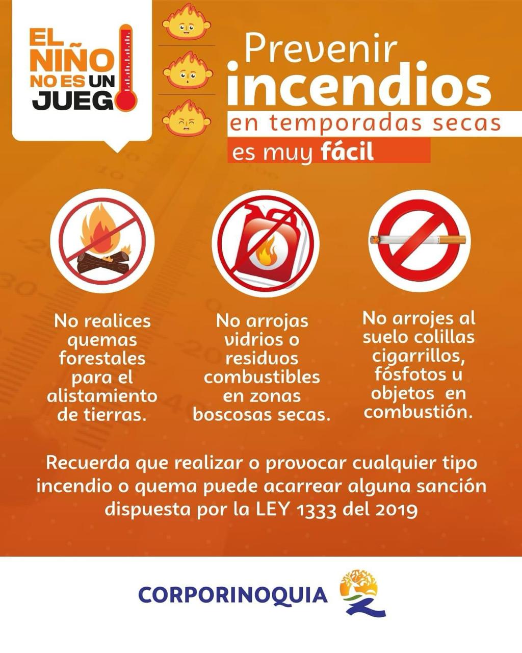 Conoce las causas, consecuencias y cómo evitar los incendios forestales – La Agenda 24/7